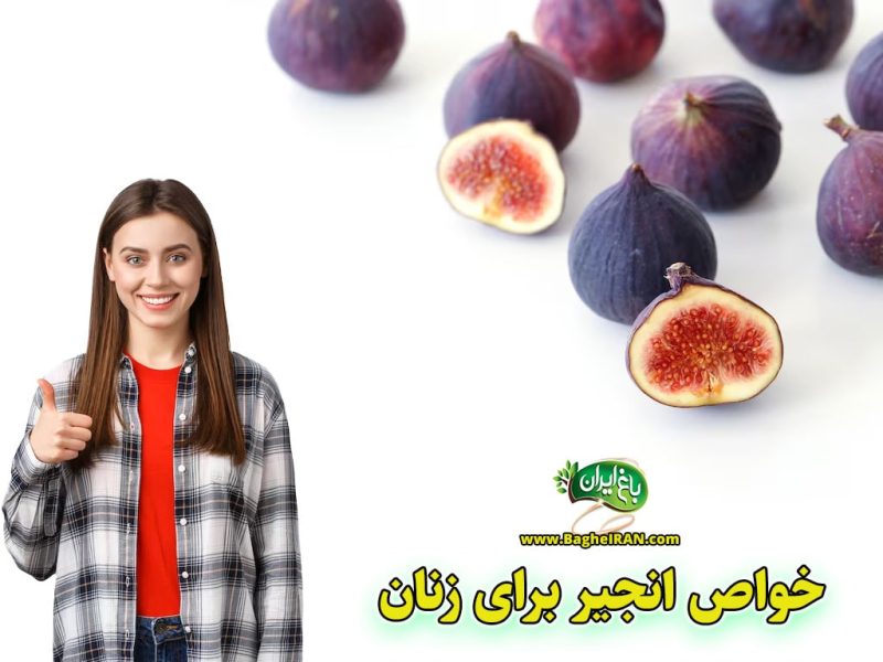فواید و خواص انجیر (+18 خاصیت باورنکردنی انجیر) - باغ ایران